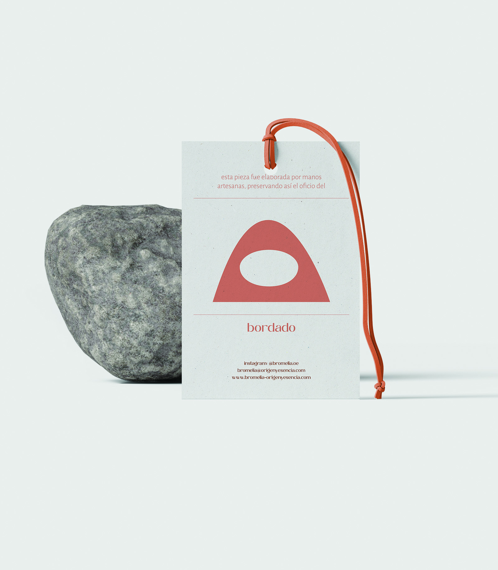 Visual Selah | Bromelia