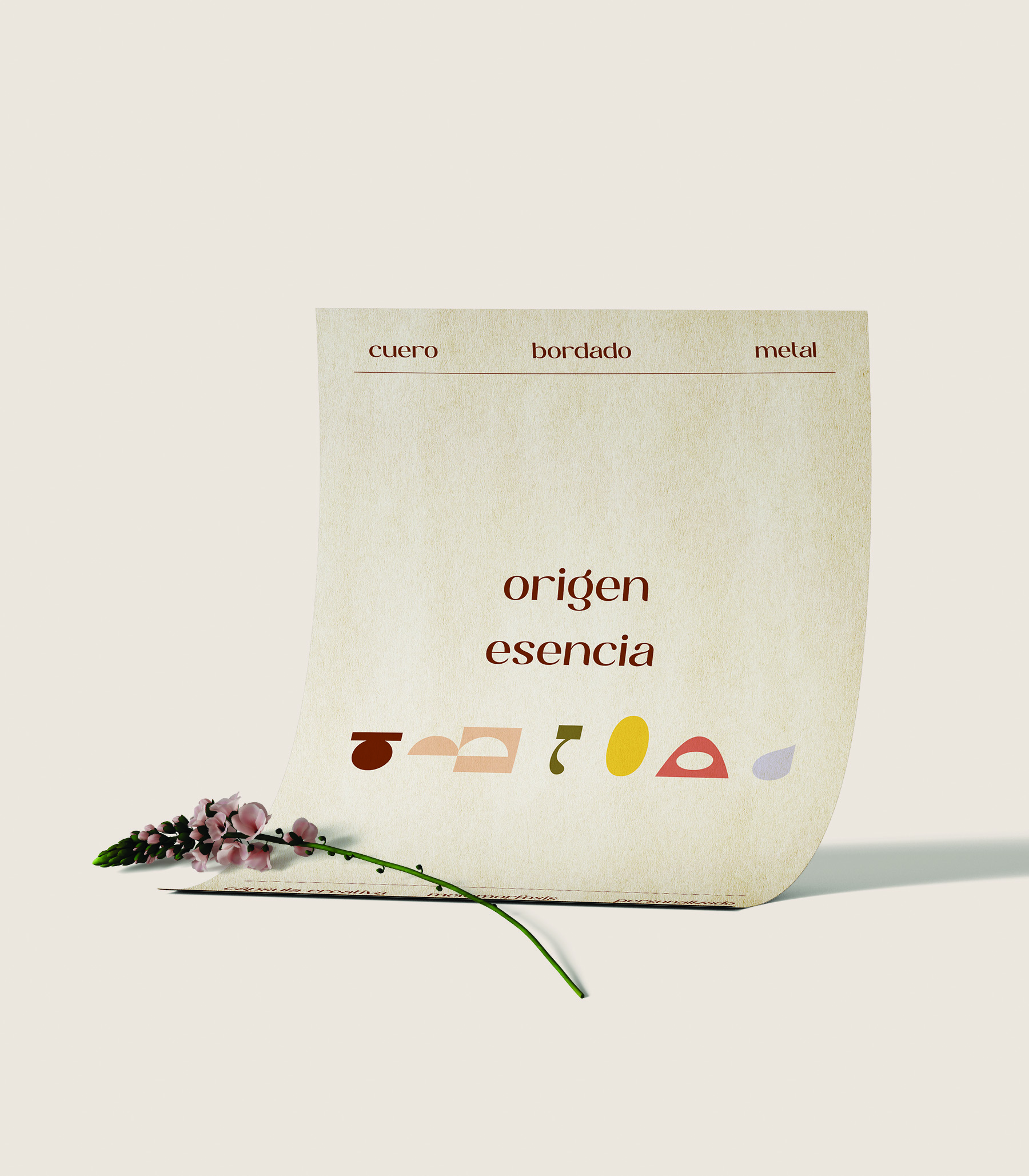 Visual Selah | Bromelia